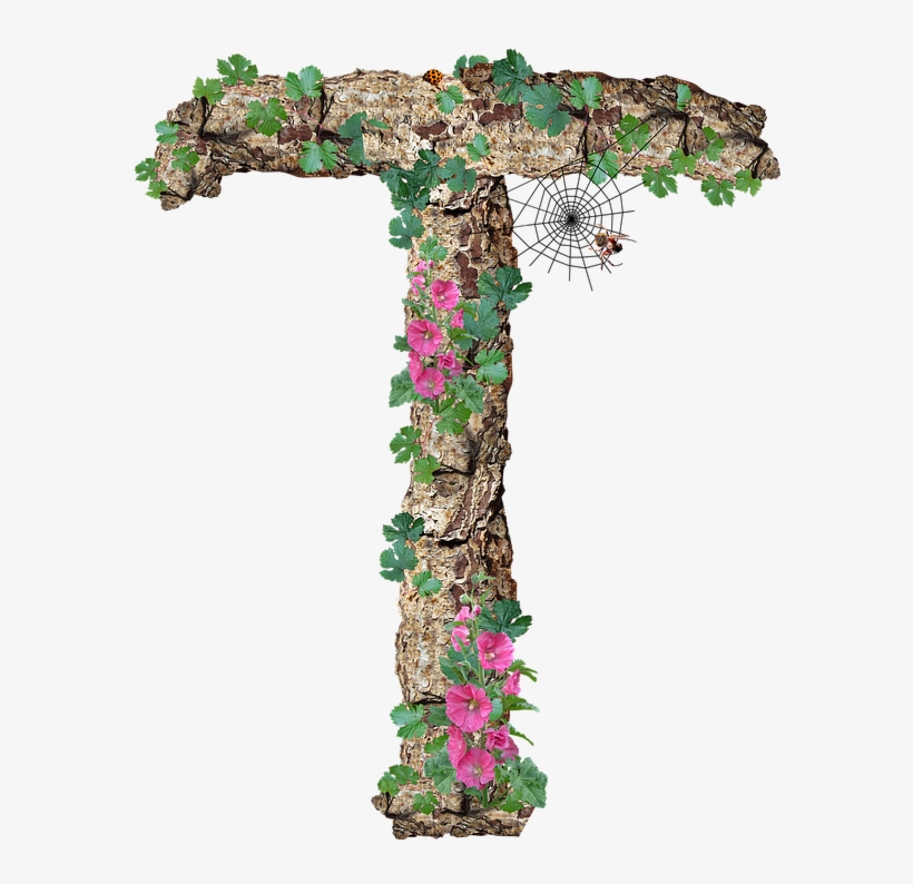 Alphabet, Letter, T, Rustic, Timber, Bark - Letter - Free Transparent ...