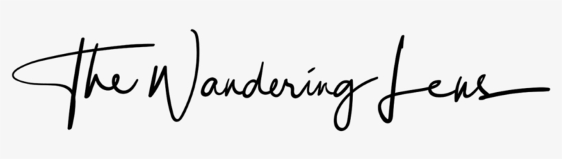 The Wandering Lens - Photography - Free Transparent PNG Download - PNGkey