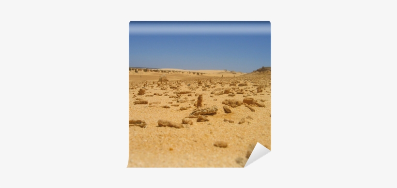 Sahara - Free Transparent PNG Download - PNGkey