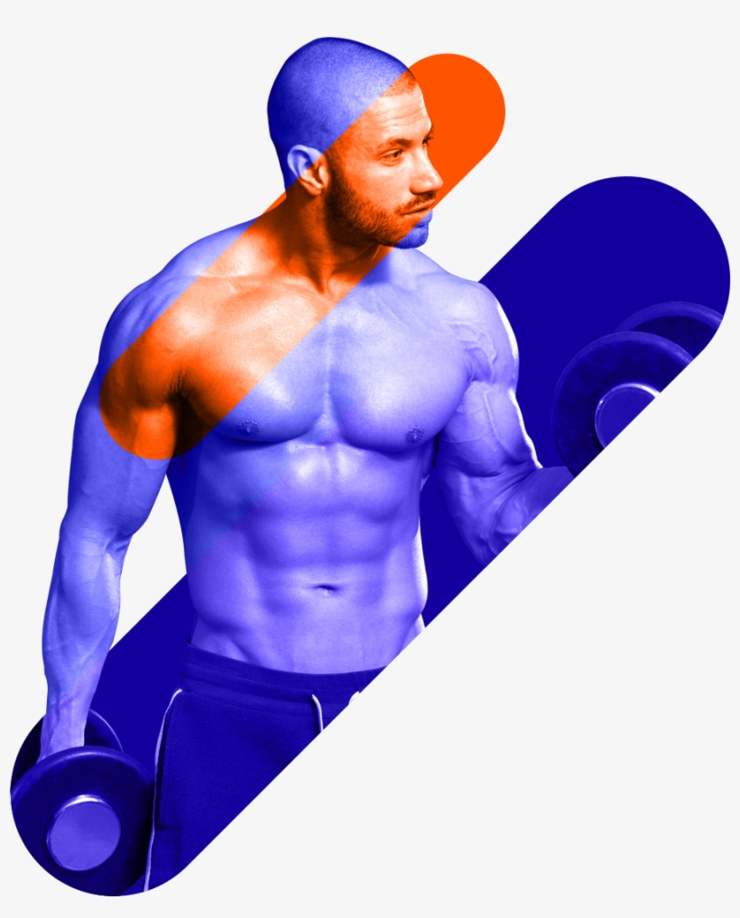 Dna Muscle Png - Muscle Dna - Free Transparent PNG Download - PNGkey