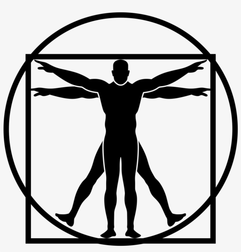 Vitruvian Man Png - Free Transparent PNG Download - PNGkey