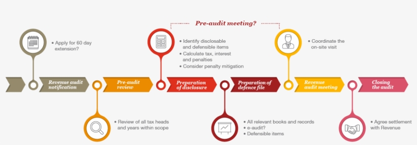 The Audit Process Infographic, Revenue Compliance Intervention ...