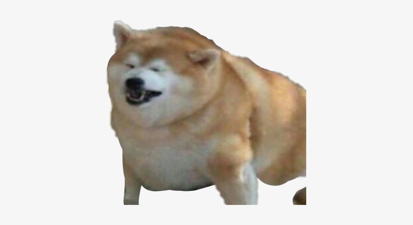 Png Dank Memes Transparent - Free Transparent PNG Download - PNGkey