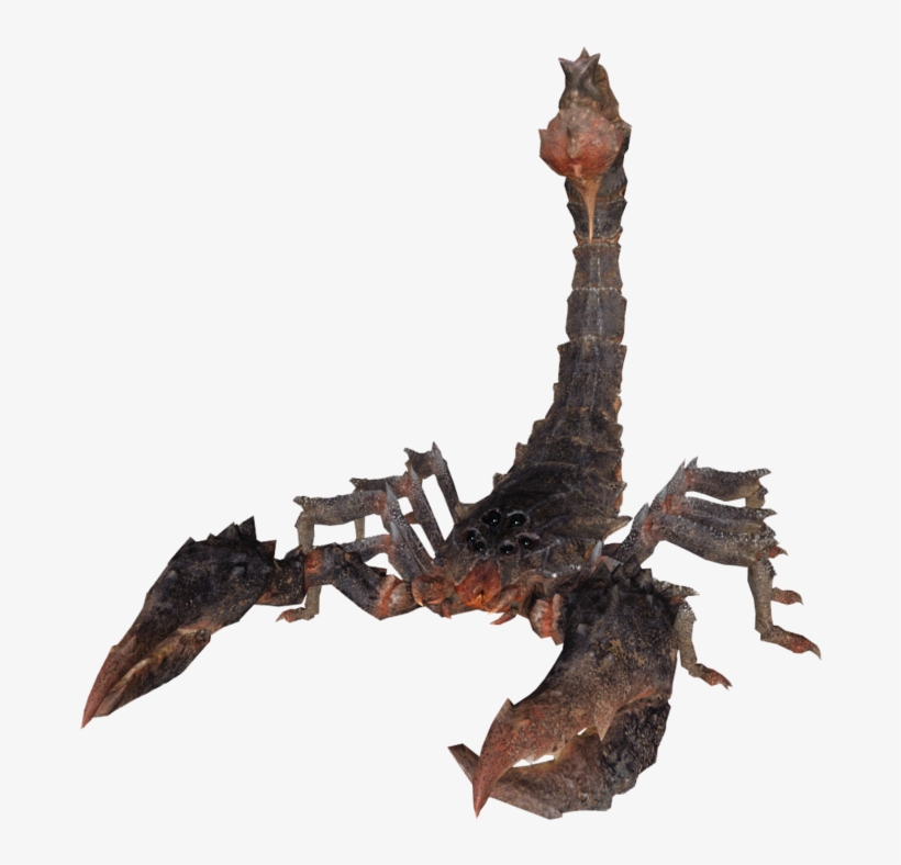 Radscorpion Fallout The Vault Fallout Wiki Fallout - Radscorpion Png ...