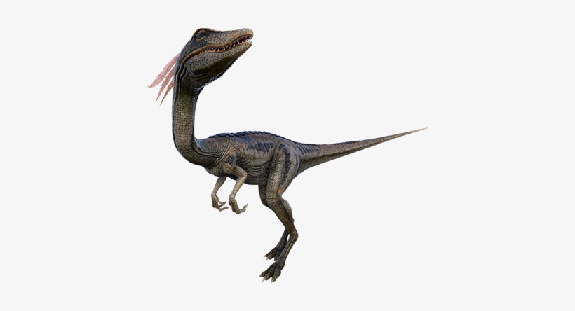Compy Dinosaur - Free Transparent PNG Download - PNGkey