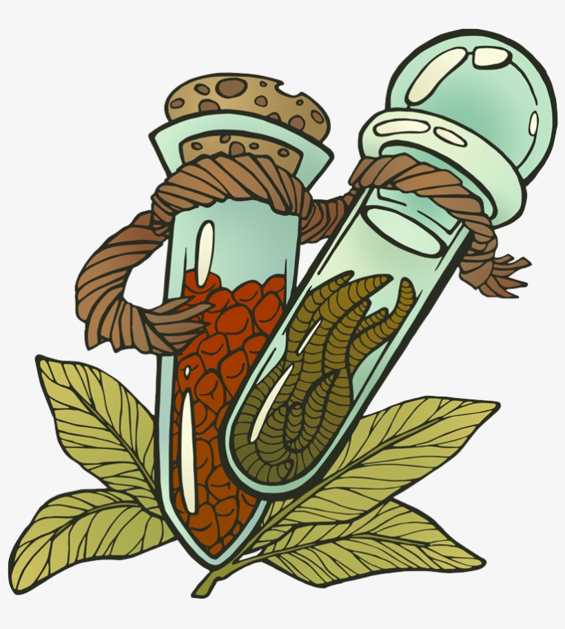 Alchemy Bottle - Illustration - Free Transparent PNG Download - PNGkey