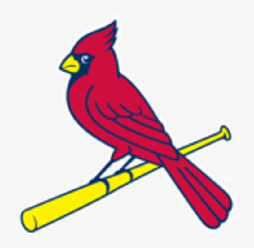 St Louis Cardinals Bird On Bat - Free Transparent PNG Download - PNGkey