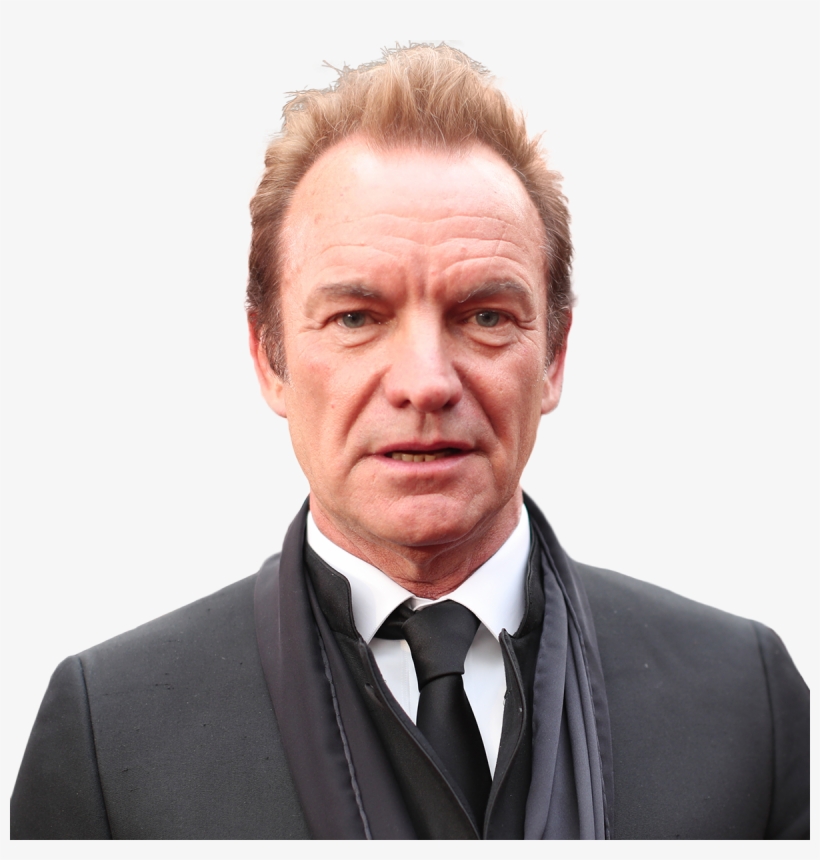 Sting - Free Transparent PNG Download - PNGkey
