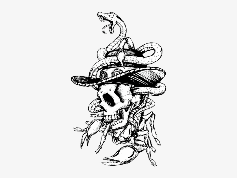 Clip Library Library Snakes Drawing Steampunk - Snake In Skull ...