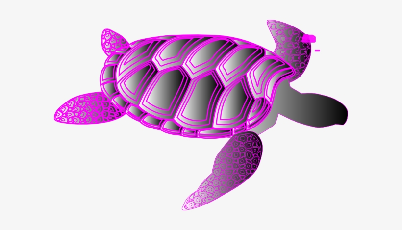 Cute Pink Sea Turtle Clipart