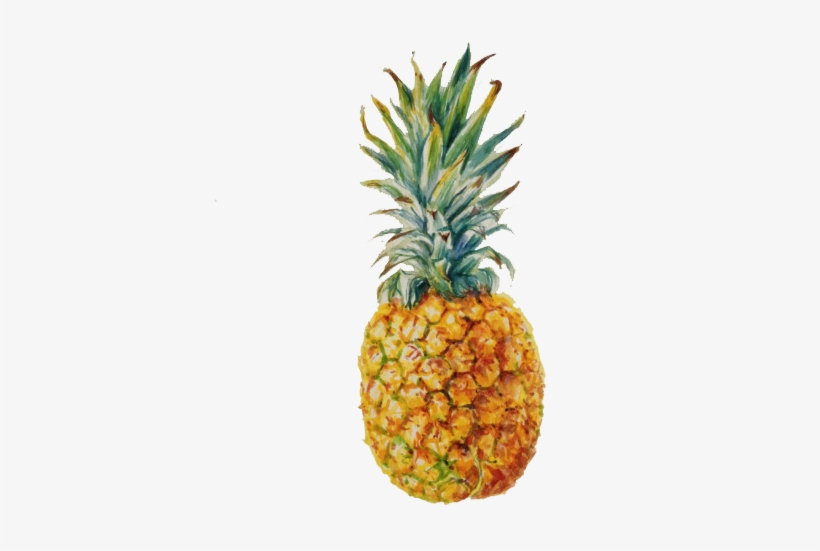 Transparent Pineapple - Pineapple Png - Free Transparent PNG Download ...