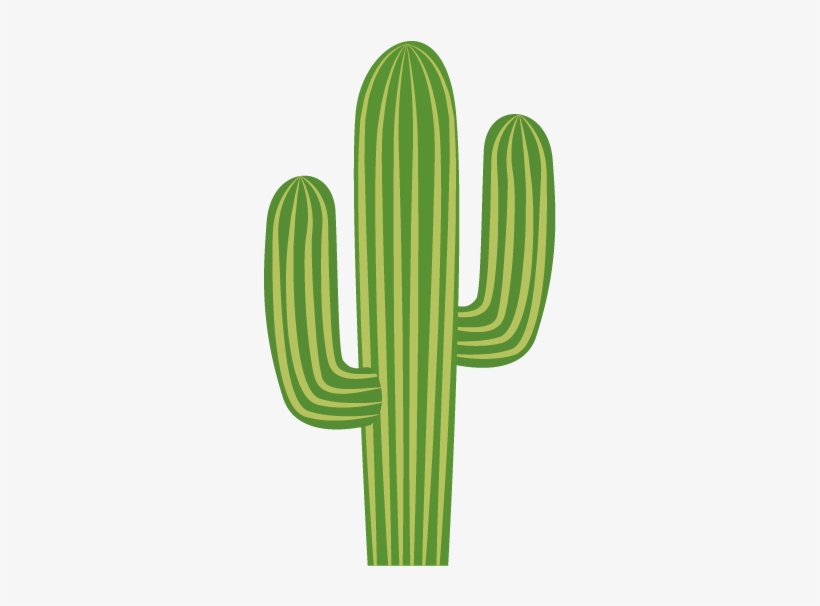 Cactaceae Download - Cactus Png - Free Transparent PNG Download - PNGkey