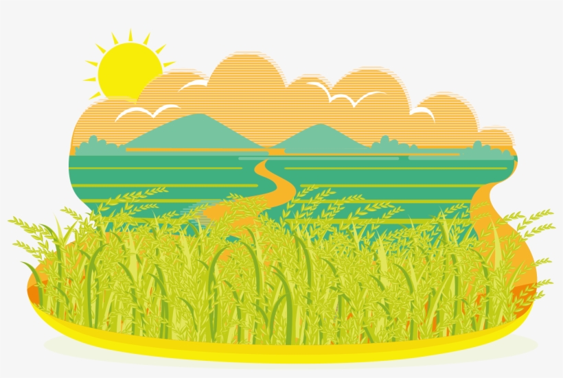 Field Clipart Paddy - Rice Field Clipart - Free Transparent PNG ...