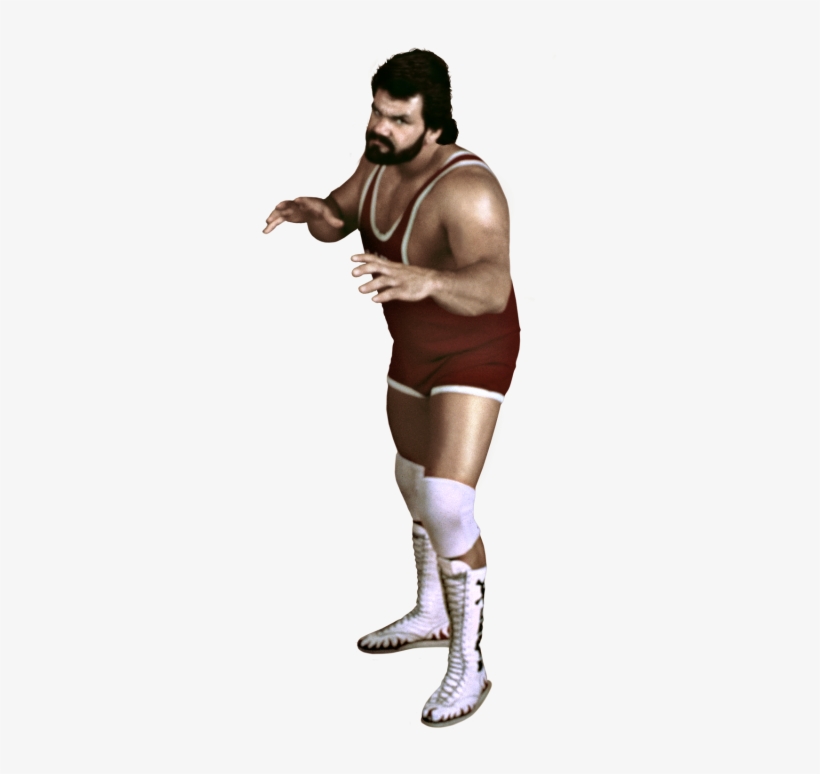 Career Highlights - Wwe Steve Williams Png - Free Transparent PNG ...