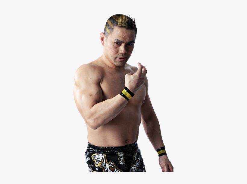 Taka Michinoku - Taka Michinoku Njpw Png - Free Transparent PNG ...