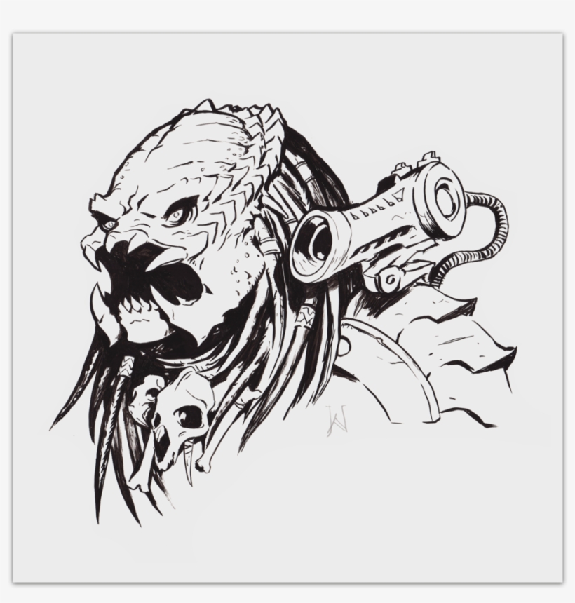 Predator - Drawing - Free Transparent PNG Download - PNGkey