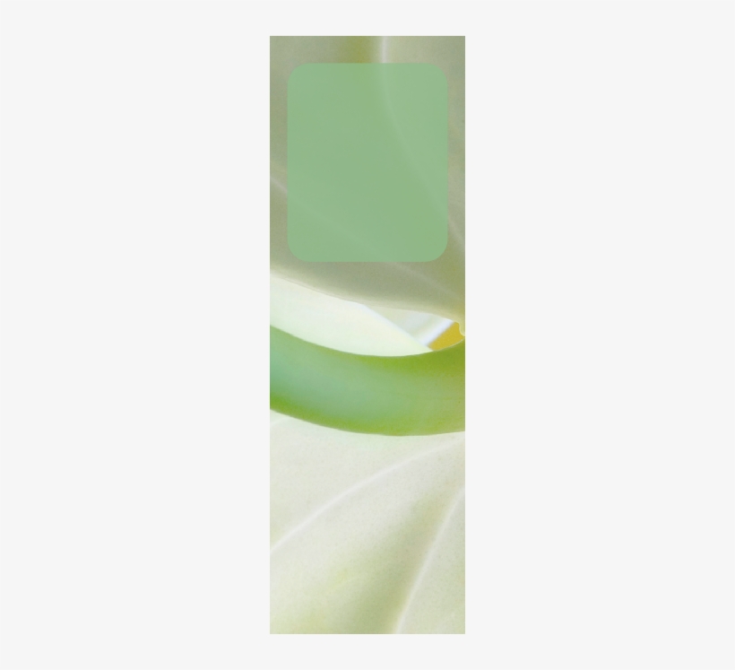 Practice Hours - Ensete - Free Transparent PNG Download - PNGkey