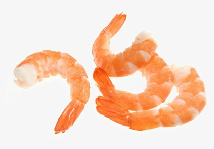 Shrimp Png Image - Shrimp - Free Transparent PNG Download - PNGkey