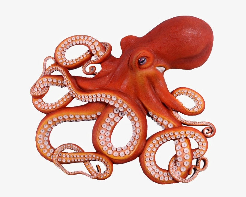 Octopus Png Photo - Octopus Png - Free Transparent PNG Download - PNGkey