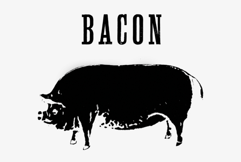 Bacon - Free Transparent PNG Download - PNGkey