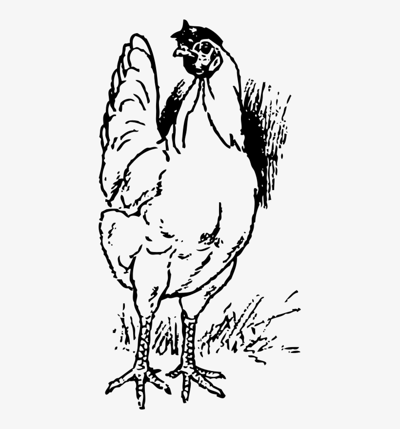 Chicken - Zeichnung Huhn - Free Transparent PNG Download - PNGkey