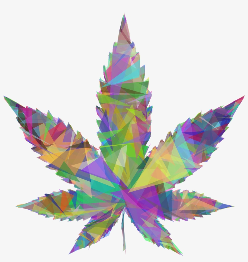 Big Image - Pot Leaf Vector - Free Transparent PNG Download - PNGkey