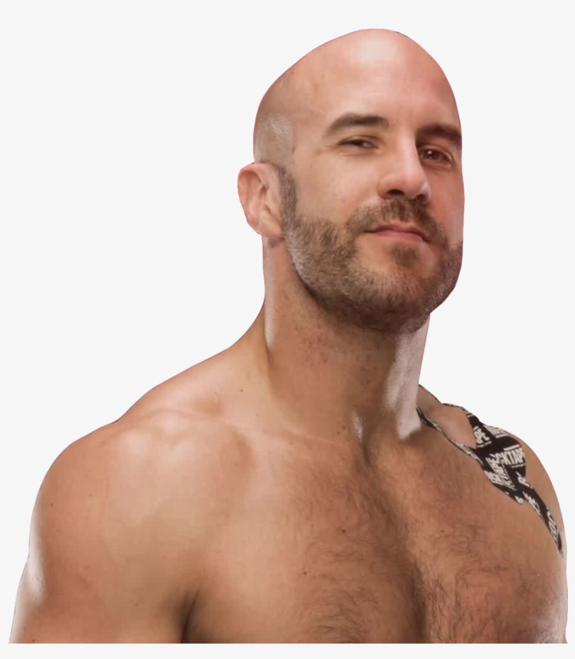 Cesaro Png Photo - Wwe Cesaro Png 2016 - Free Transparent PNG Download ...