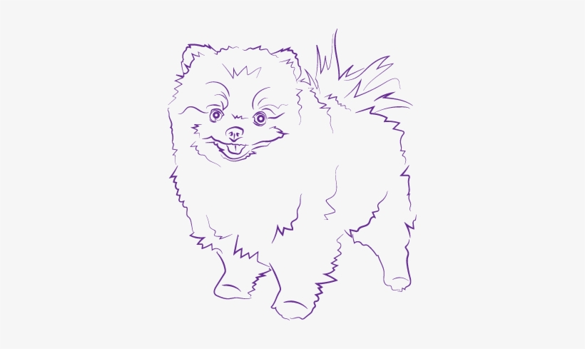 Sketch - Free Transparent PNG Download - PNGkey