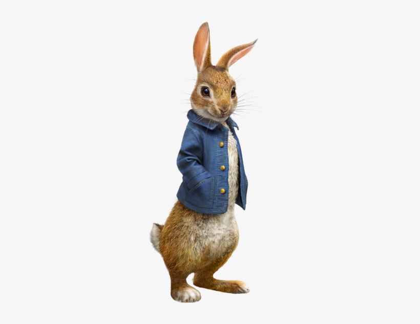 Peter Rabbit Png Transparent Stock - Peter Rabbit Transparent Png ...
