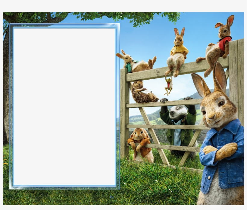 Peter Rabbit Png - Free Transparent PNG Download - PNGkey