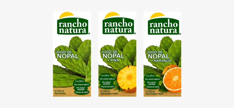 Jugos - Nopal Juice - Free Transparent PNG Download - PNGkey
