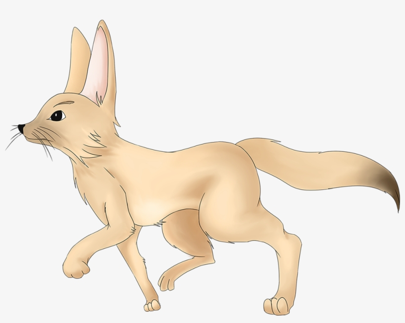 Fennec Fox - Free Transparent PNG Download - PNGkey