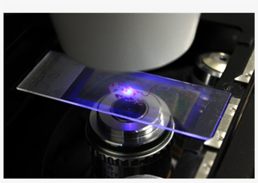 Blue Light Of A Laser Beam Cutting A Specific Region, - Cell - Free ...