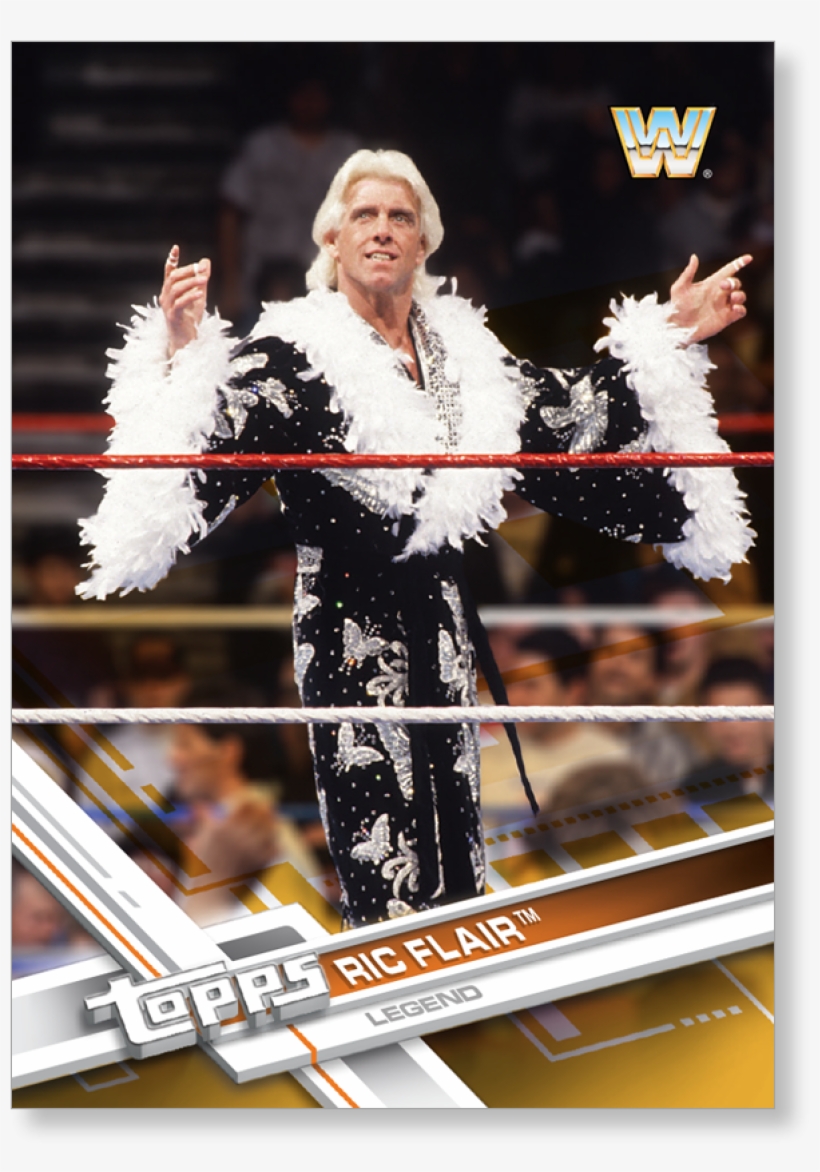 Ric Flair Png - Free Transparent PNG Download - PNGkey