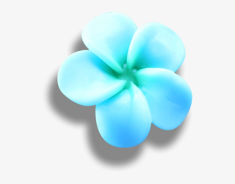 Blue Frangipani - Free Transparent PNG Download - PNGkey