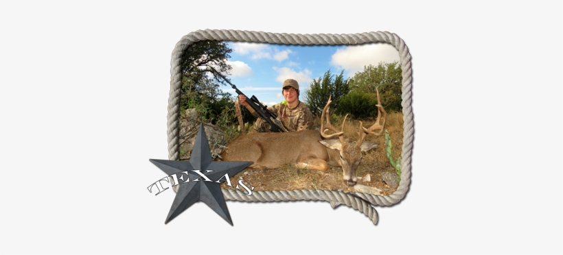 Texas Trophy Whitetails - Texas - Free Transparent PNG Download - PNGkey
