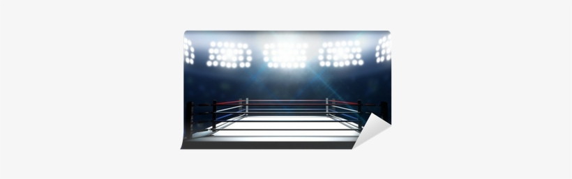 Wrestling Ring - Free Transparent PNG Download - PNGkey