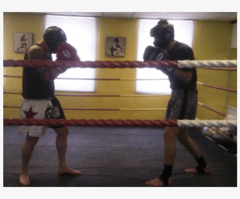 Professional Boxing - Free Transparent PNG Download - PNGkey
