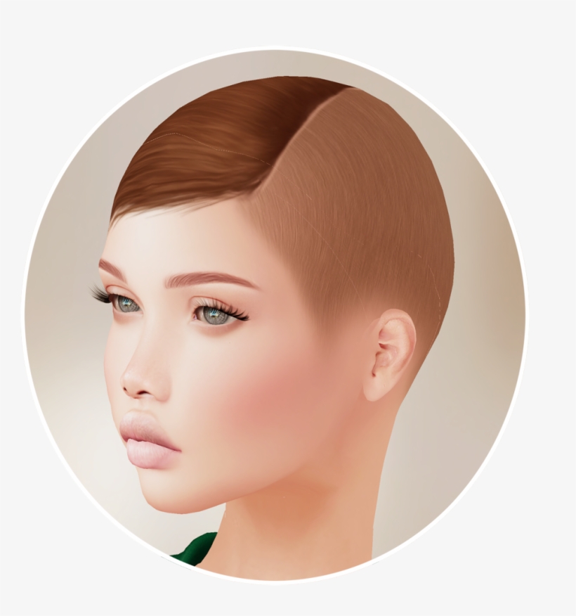 Fullsize Distr - Library - Free Transparent PNG Download - PNGkey