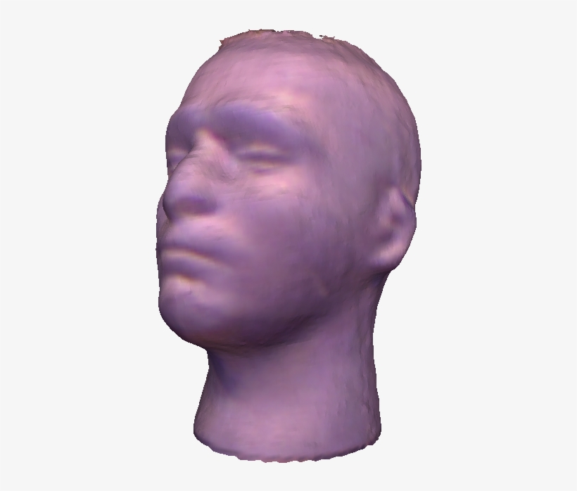 Head - Bust - Free Transparent PNG Download - PNGkey
