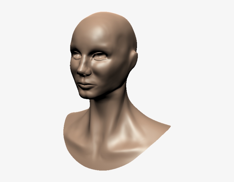 Miss Gorgeous 3 0b - Bust - Free Transparent PNG Download - PNGkey