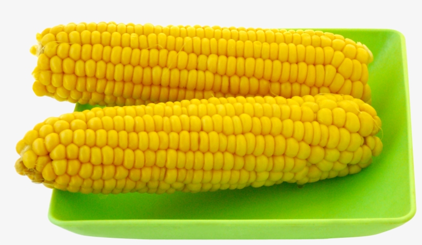 Maize - Free Transparent PNG Download - PNGkey