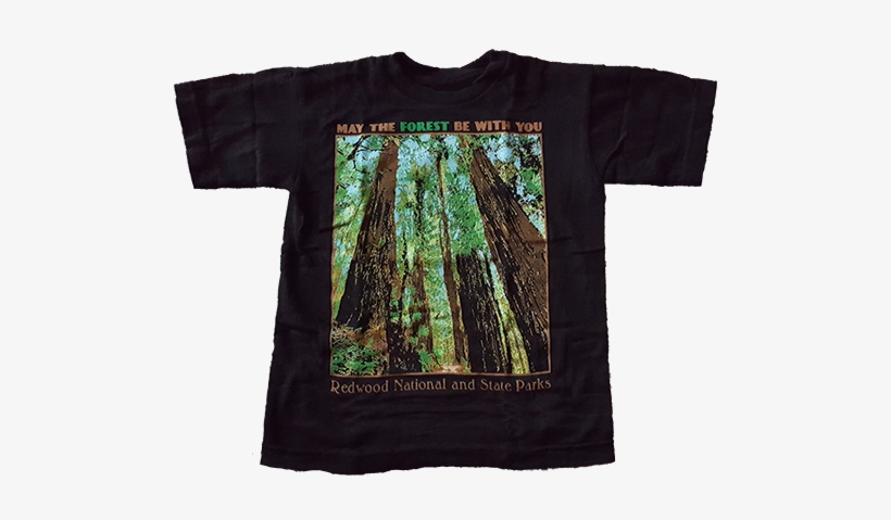 Redwood National And State Parks "may The Forest Be - Redwood Forest T ...