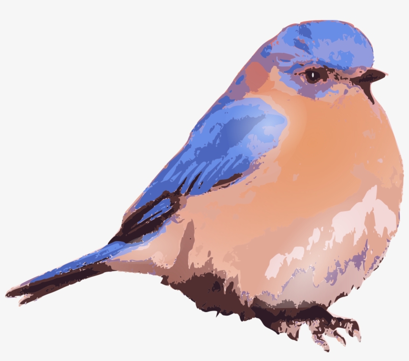 Eastern Bluebird - Eastern Bluebird Png - Free Transparent PNG Download ...