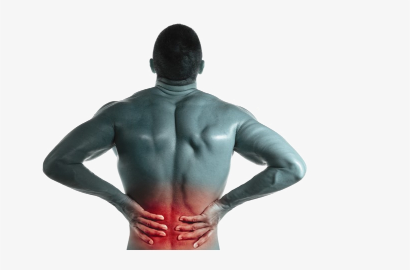 Back Pain Png Background Image - People With Long Backs - Free ...