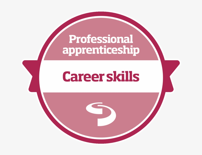 Professional Apprenticeship Career Skills - Urban Enterprise Zone ...