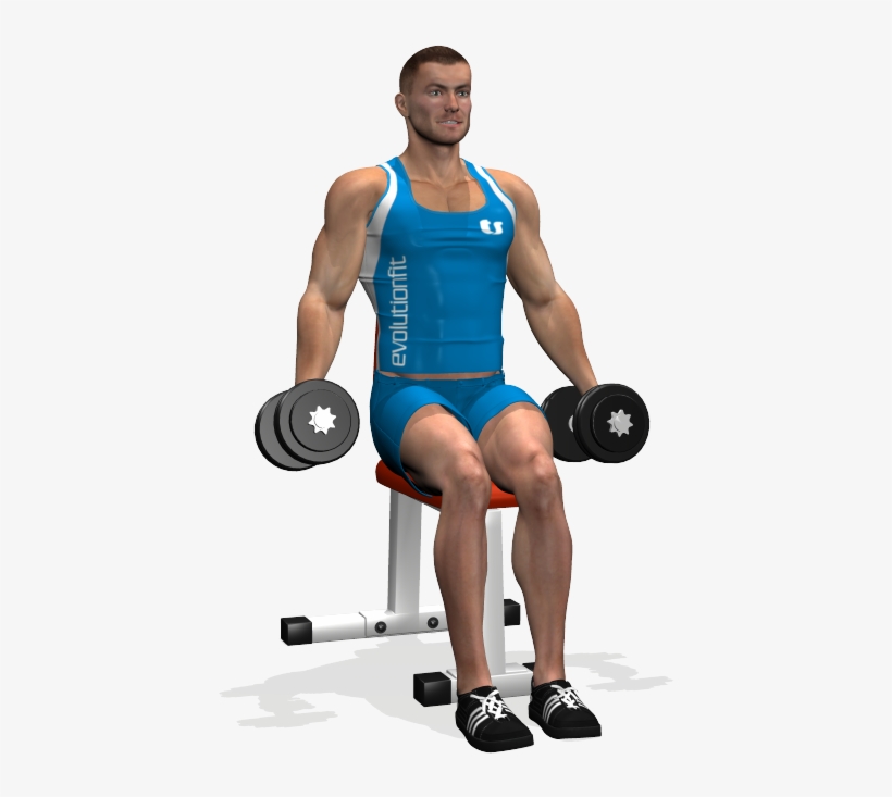 Over - Curl Con Manubri Seduto - Free Transparent PNG Download - PNGkey