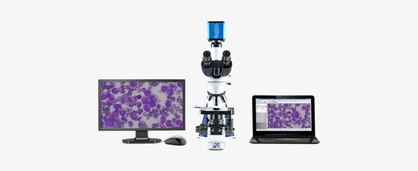 Biovid Hd 1080 Microscope Camera - Lw Scientific Bvc-1080-cmt3 ...