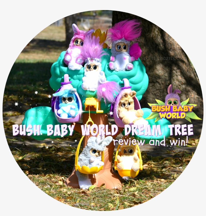Jasnor Bush Baby World Dream Tree Review And A Bush - Free Transparent ...