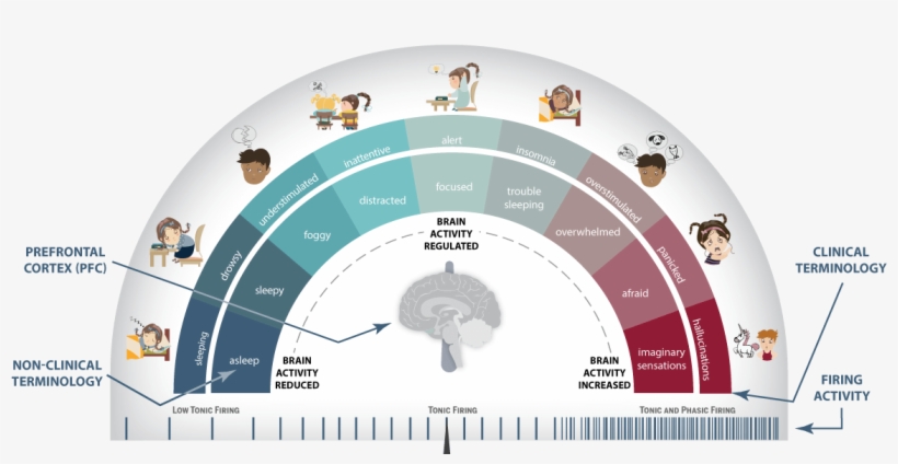 Use This Guide And The Patient Protractor Together - Circle - Free ...